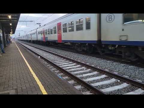 2 Keer MS80 | Kortijk-Oostende & Zottegem - Brussel Airport | Station Oudenaarde