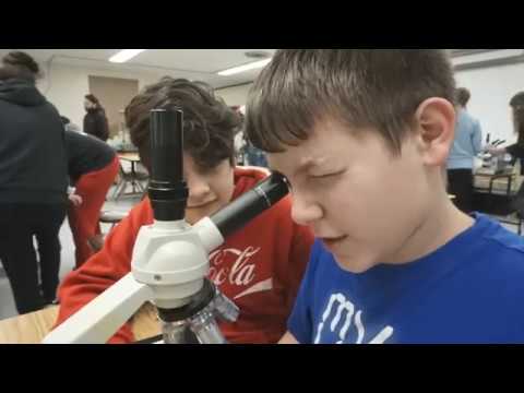 Science Curriculum Update