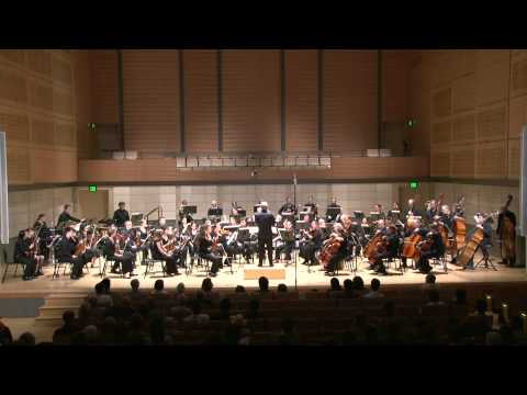 "Zâr" for Orchestra (2012) - Sahba Aminikia - Symphony Parnassus