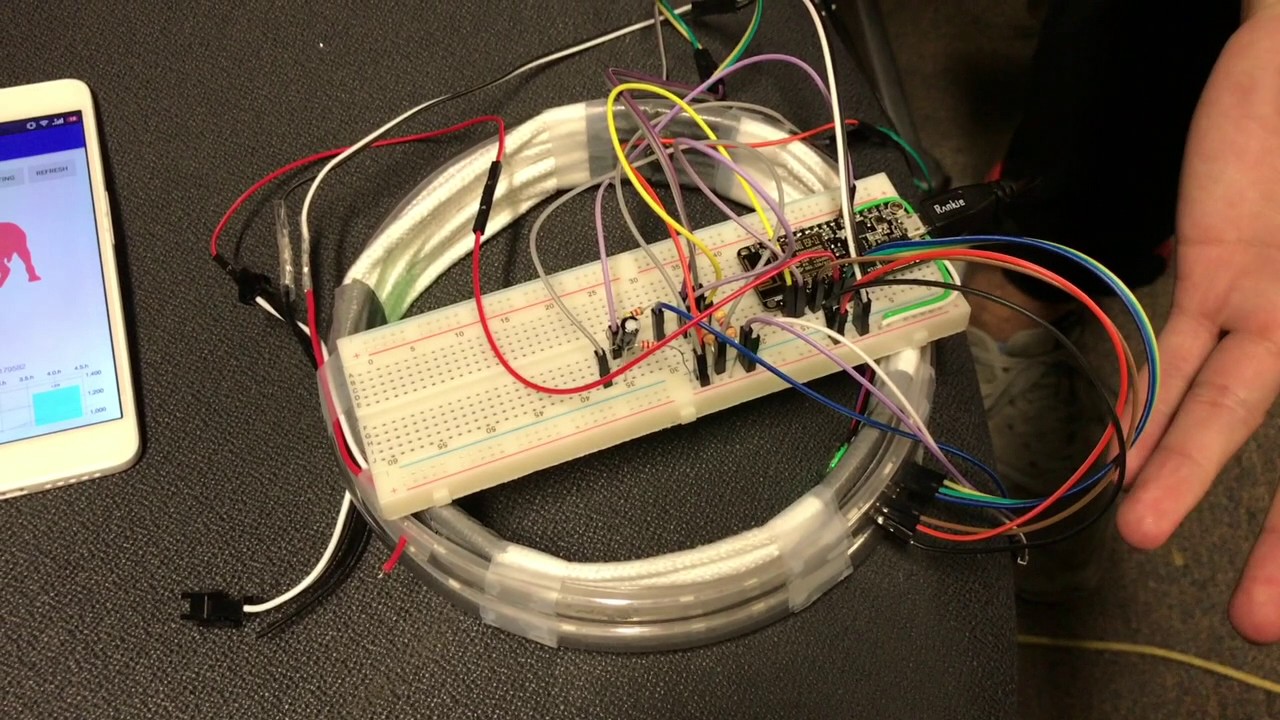 Columbia EECS E4764 IoT Group 13 D-Collar