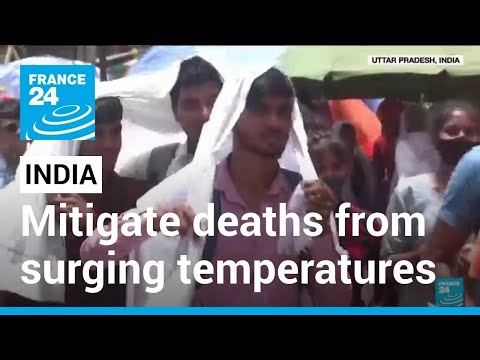 India vows to tackle heatwave deaths as temperature soars • FRANCE 24 English