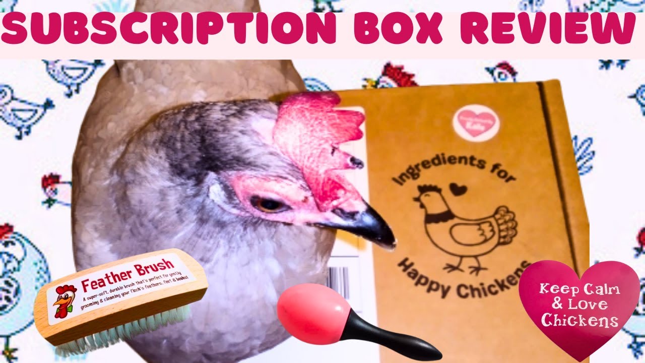 Chicken Reviews CoopCrate Chicken Subscription Box