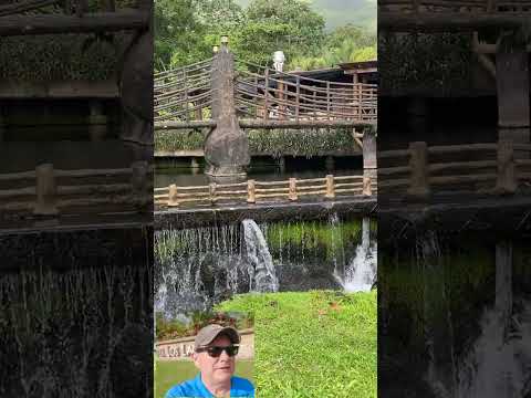 Los Lagos Hotel Spa & Resort in La Fortuna, Costa Rica #shorts #costarica #lafortuna