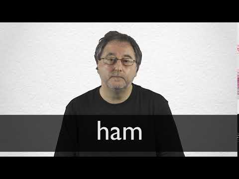 HAM definition in American English | Collins English Dictionary