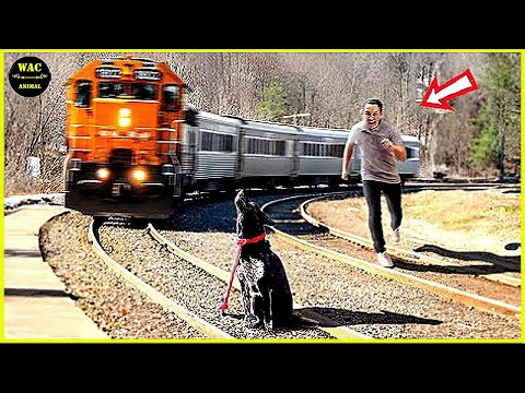 Random Acts of Kindness That Will Make You Cry 😭! Best Moments of 2025 #67