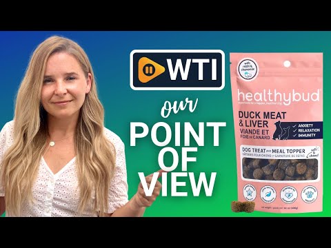 healthybud Calming Aid Dog Supplements | Our Point Of View