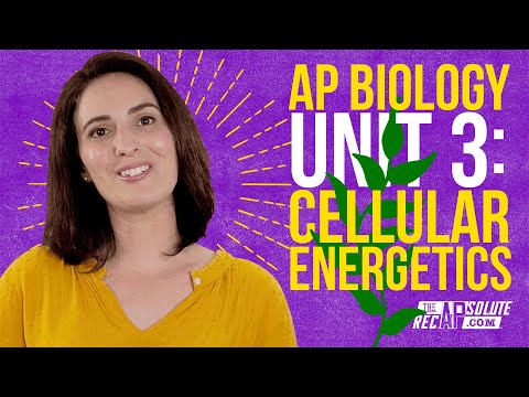 AP Biology Unit 3: Cellular Energetics Summary