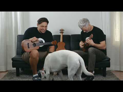 KoAloha KoAlana Ukulele Review