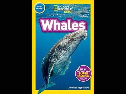 Read with Chimey: National Geographic Kids- Whales read aloud