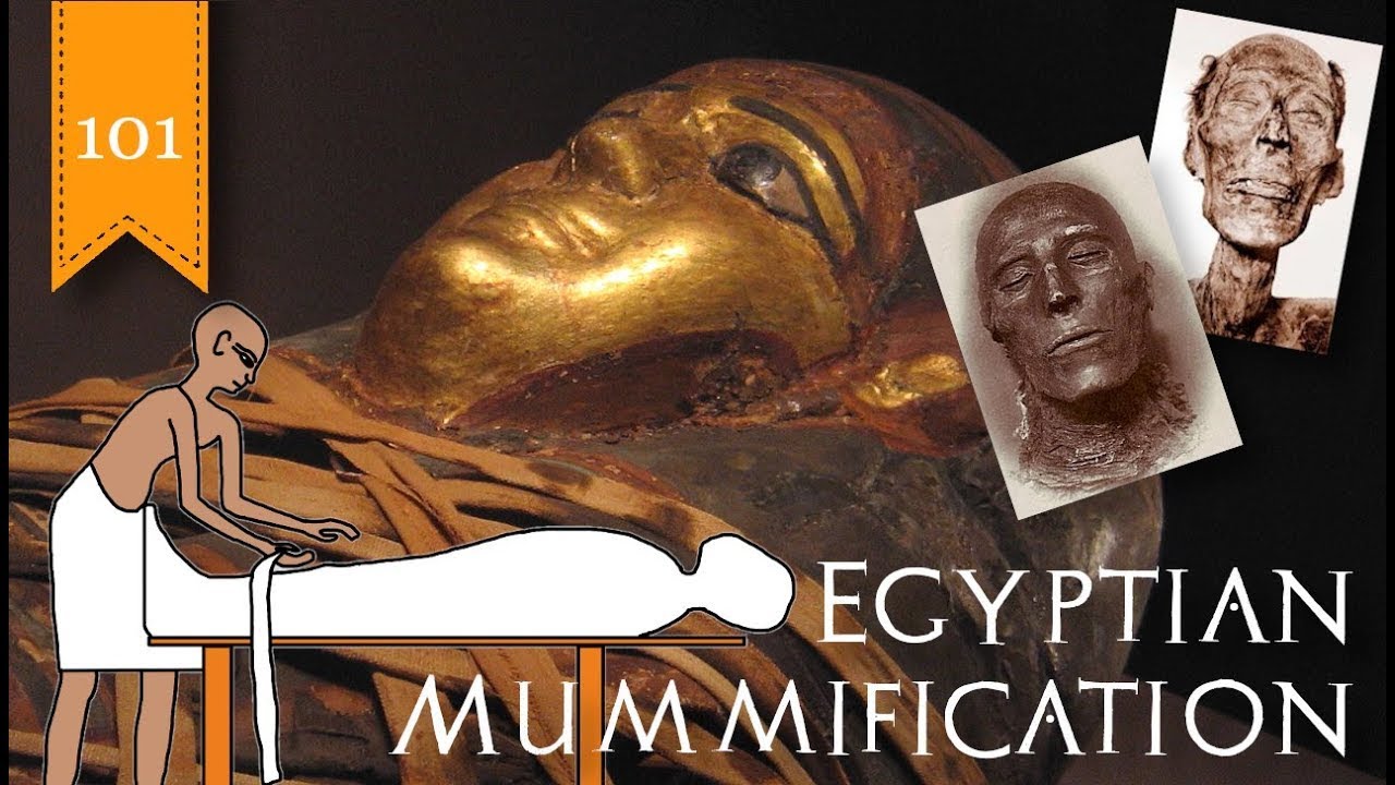 The Mummification Process 101: How Ancient Egyptian Mummies Were Made - FreeSchool 101