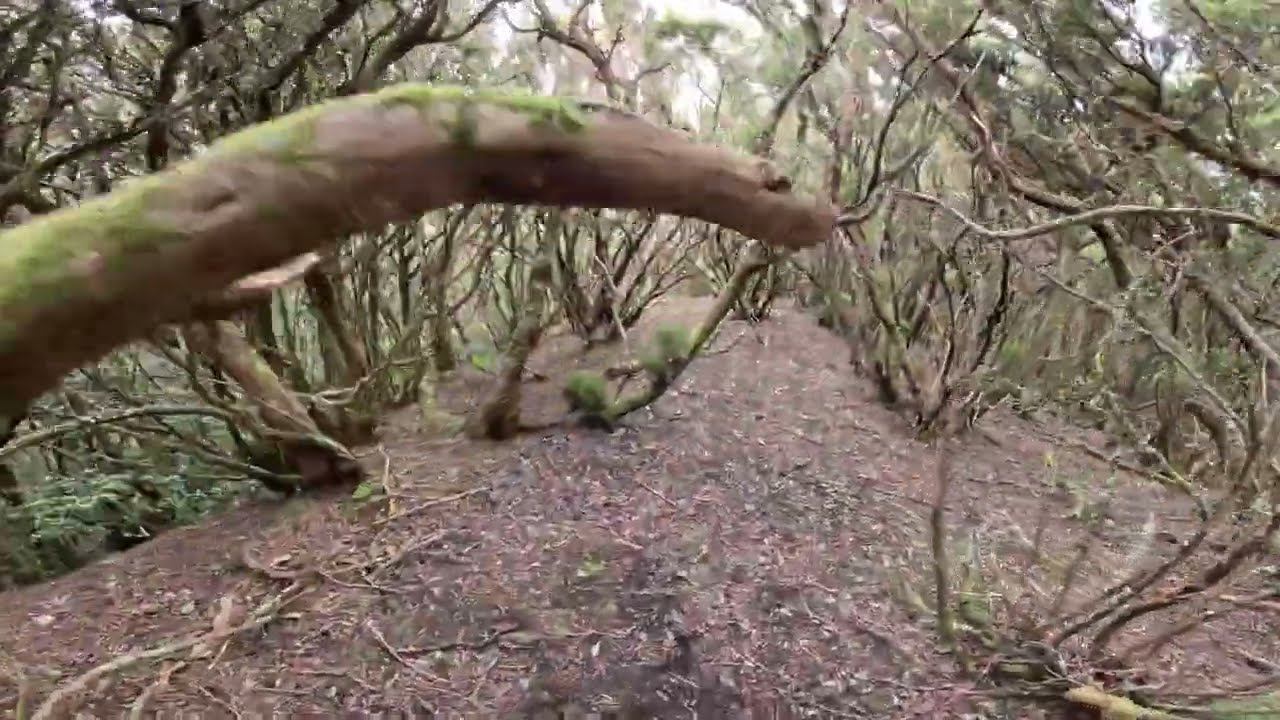 Sendero 