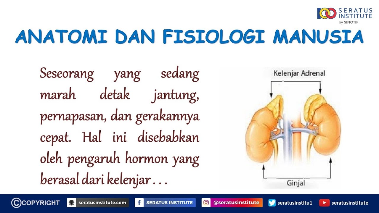 Biologi - Contoh Soal 1 Anatomi dan Fisiologi Manusia