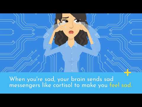 Understanding Feelings: A Science Lesson for Kids – Why Does?