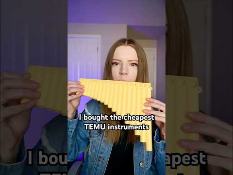 I bought the cheapest TEMU instruments!