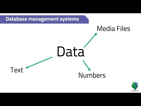 Data vs Information | Database Management Systems