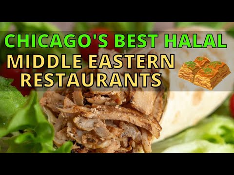 Chicago's favorite halal Middle Eastern restaurants! ๐ด #shorts #halal #food