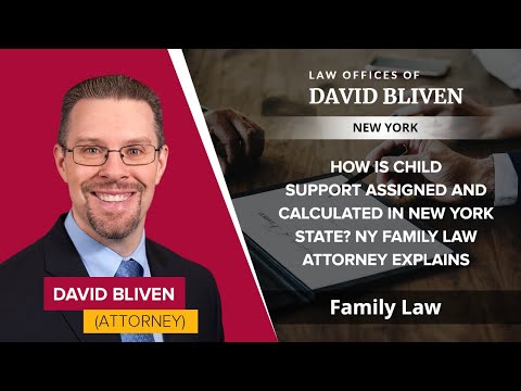 How Is Child Support Assigned And Calculated In New York State? NY Family Law Attorney Explains