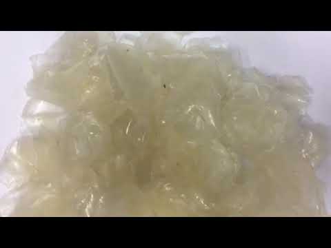 Calcarifer of dried fish scale for collagen & gelatin extraction