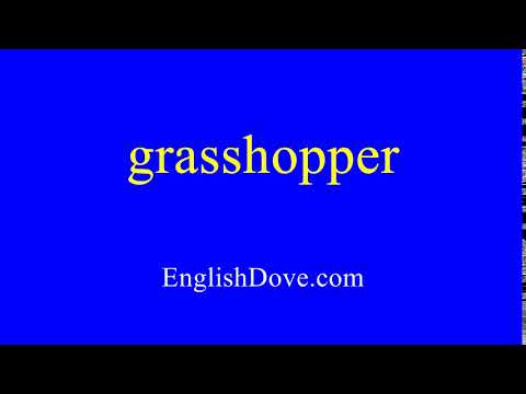 How to pronounce grasshopper in American English.
