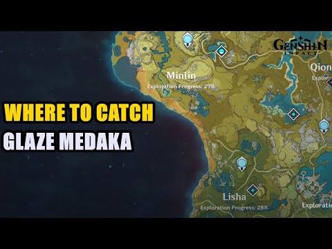 Where to Catch Glaze Medaka Genshin Impact