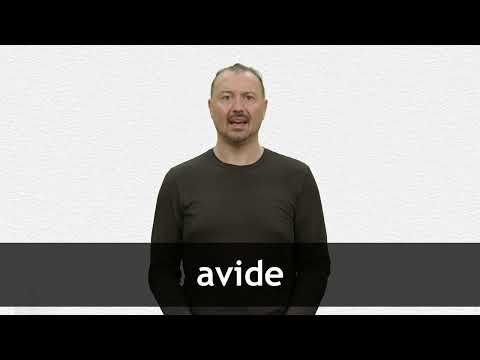 English Translation of “AVIDE” | Collins French-English Dictionary