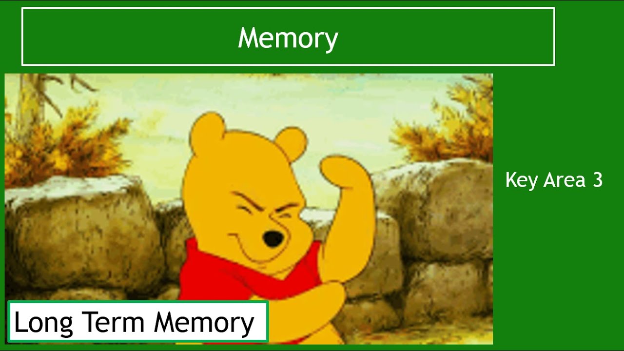 Memory Section 3 Long Term Memory