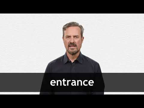 ENTRANCE definition and meaning | Collins English Dictionary