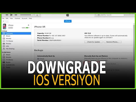 Downgrade From iOS 17 to iOS 16 Without Losing Data Using Tenorshare Reiboot #ios #iphone