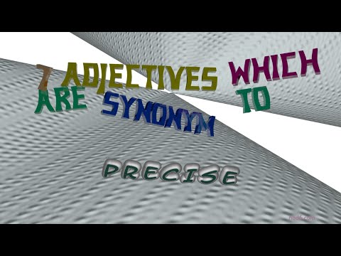 precise - 9 adjectives similar to precise (sentence examples)