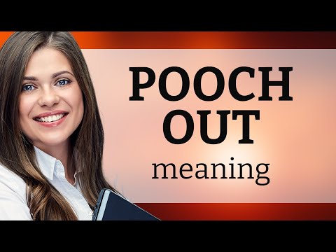 Pooch out • definition of POOCH OUT