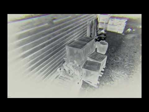 Steam Community :: Red Dead Online