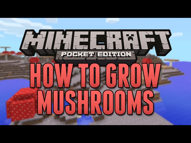 Top 5 uses of Mycelium in Minecraft