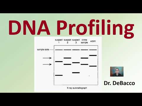 DNA Profiling