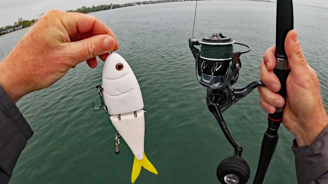Big $100 Fishing Lure's Bass Catch Made the Trip! Fluke Action Too!