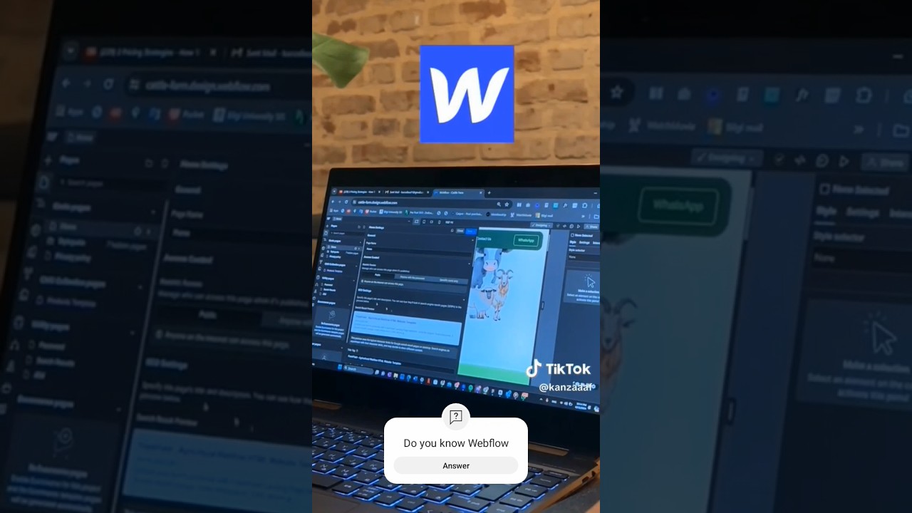 How quickly can I learn Webflow?