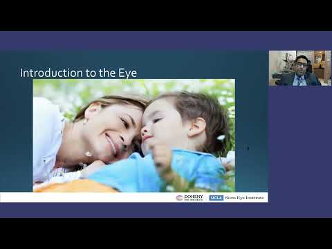 RPB Lunch and Learn: Eye on Geographic Atrophy Dry AMD