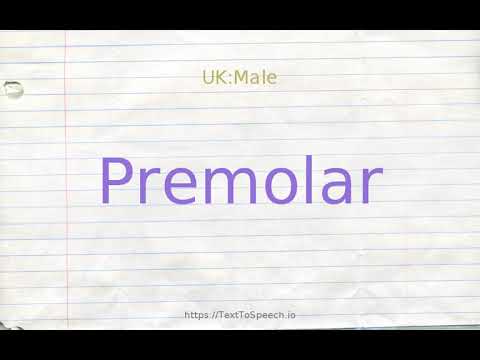How to pronounce premolar