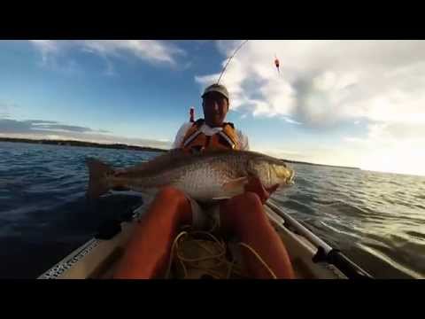 Monster Fishing | Alizé Proisy