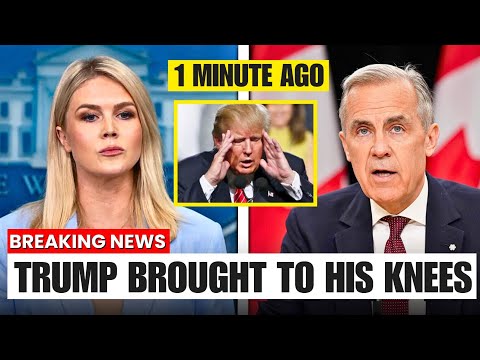 LIAR Trump Exposed AGAIN — Canada Turns His Trade War Into a National Embarrassment