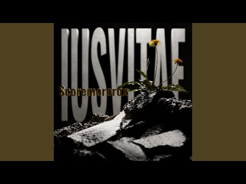 Sonitus