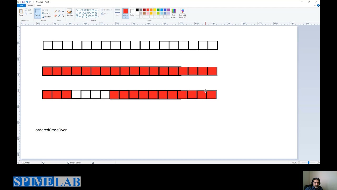 Evolutionary Computing (TSP using Genetic Algorithms)