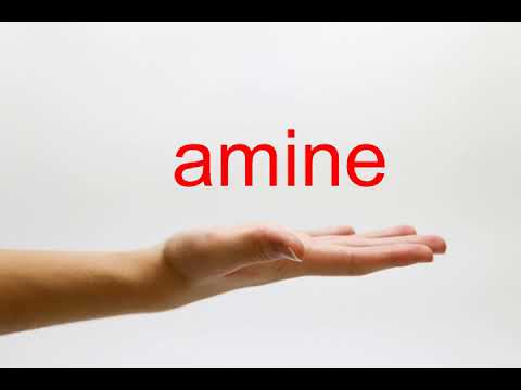 How to Pronounce amine - American English