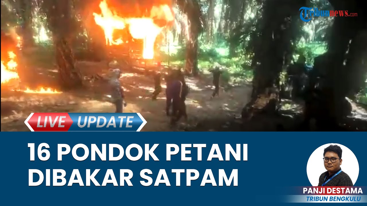 Oknum Satpam Perusahaan Kelapa Sawit DDP Diduga Bakar 16 Pondok Petani di Mukomuko Bengkulu