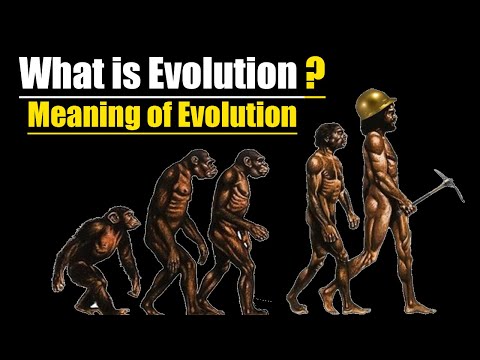 Meaning of Evolution - What is Evolution? Urdu / Hindi