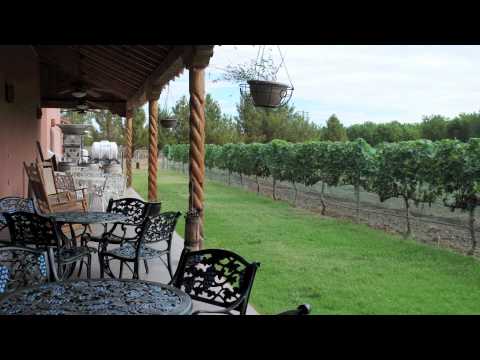 More than just a dry spell: Local vineyard deals with drought