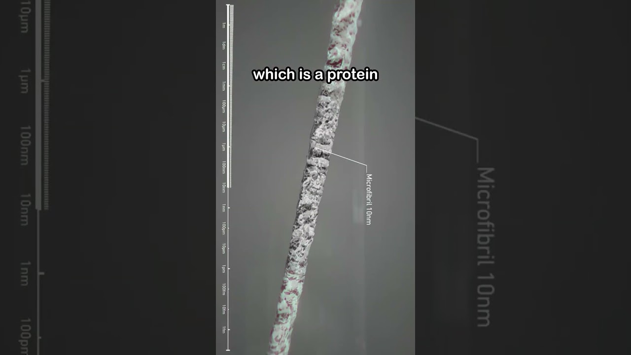 The Scale of an Atom