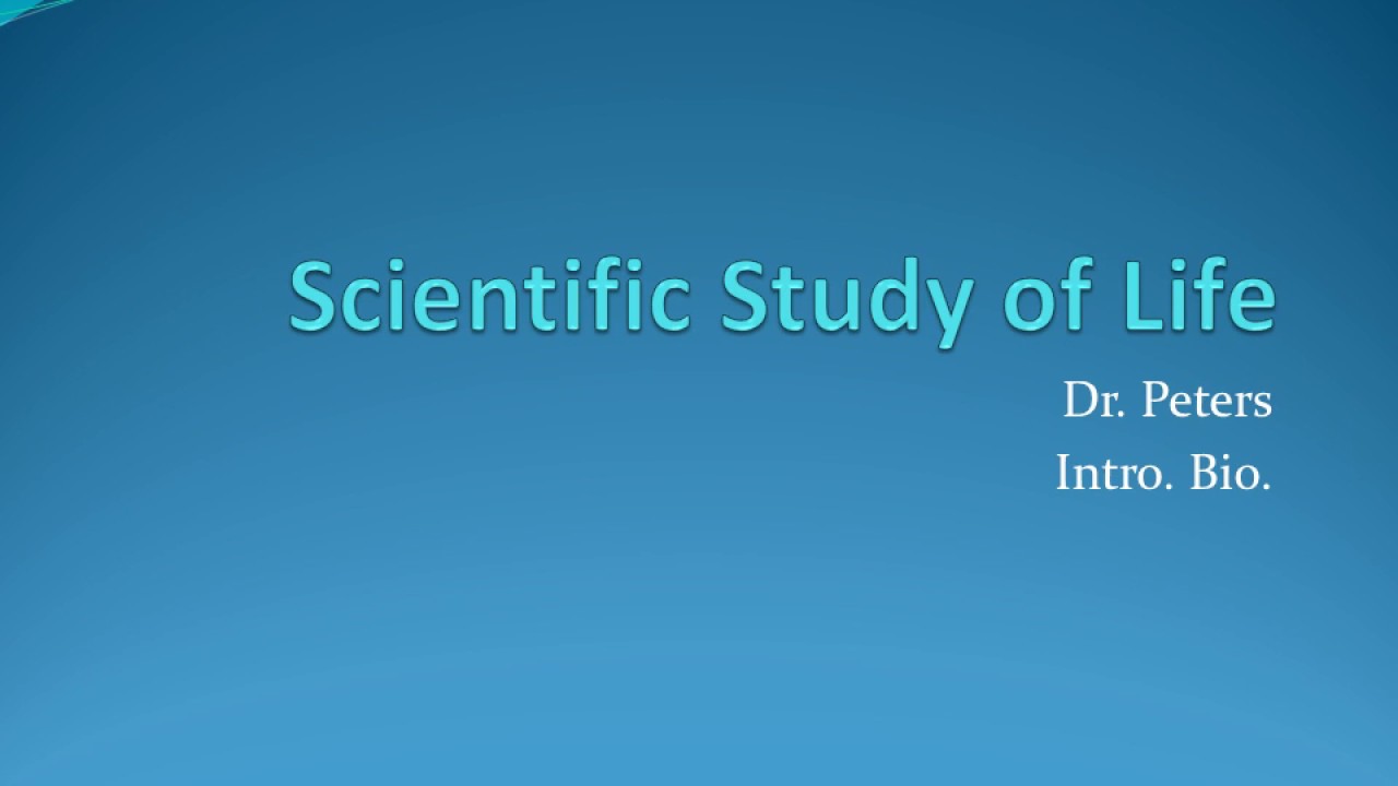 intro powerpoint 1A s17
