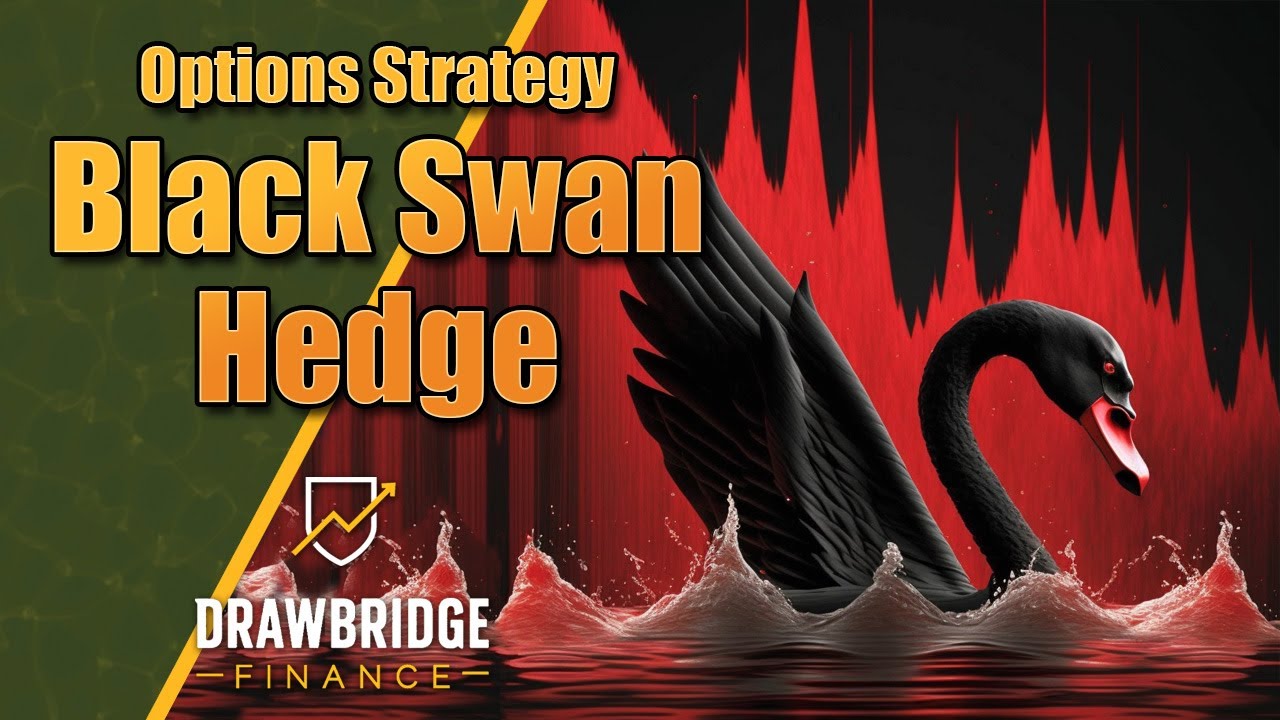 Understanding the Black Swan Hedge: A Comprehensive Guide to the BSH ...