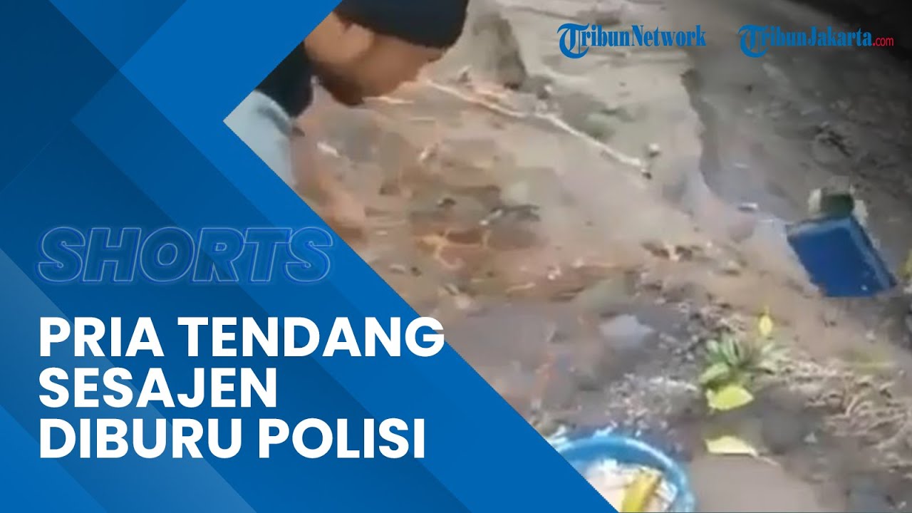 Viral Video Pria Buang dan Tendang Sesajen di Gunung Semeru Lumajang ... Viral Video Pria Buang dan Tendang Sesajen di Gunung Semeru Lumajang ...