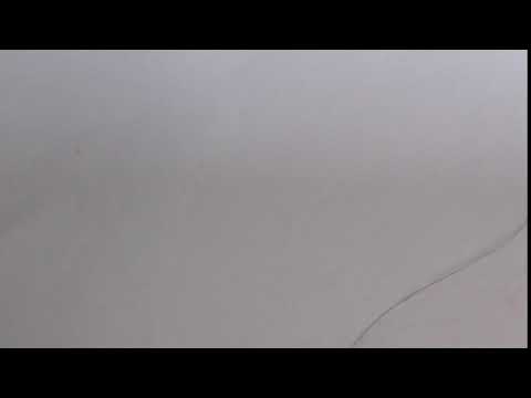 The Wave Principle Animated Cycle – Elvey’s Animation